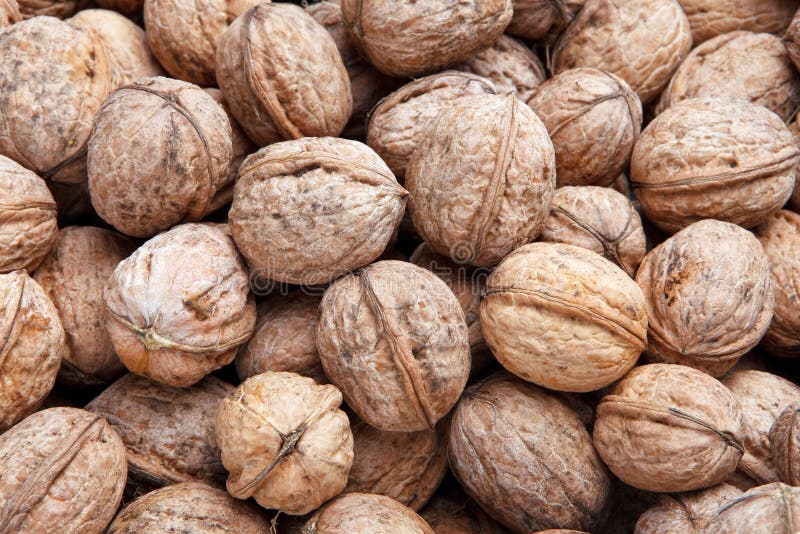 Nuez imagen de archivo. Imagen de insignificante, ingrediente - 11622743