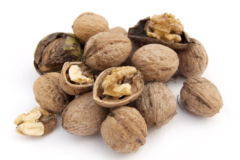Nuez foto de archivo. Imagen de bocado, fruta, duro, roto - 17672044