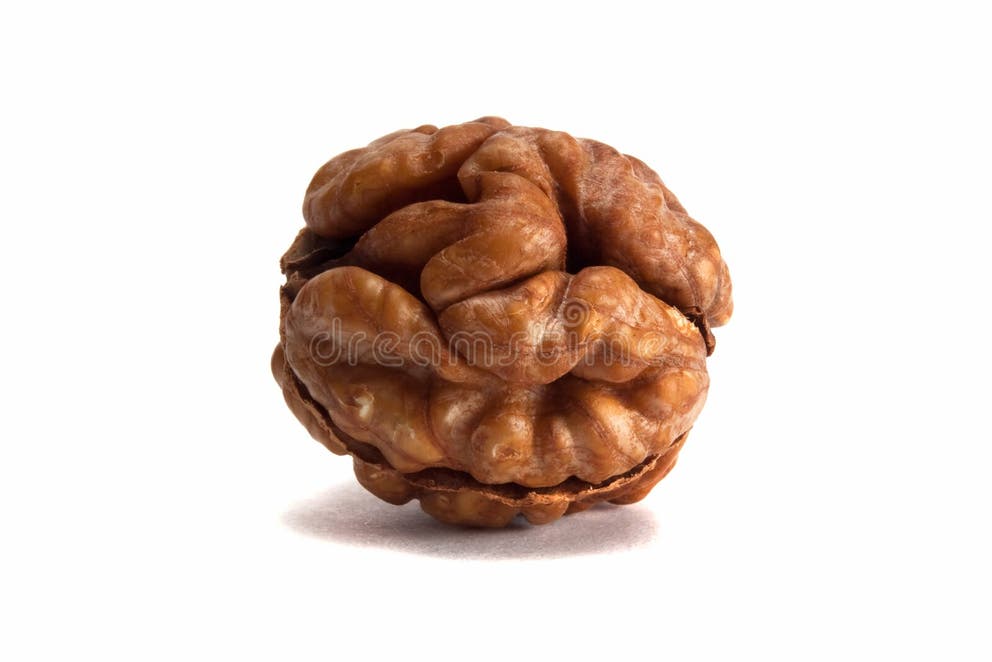 Nuez imagen de archivo. Imagen de descascado, color, nuez - 18511615