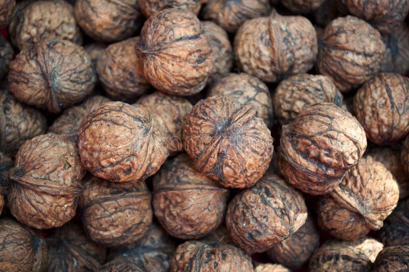 Nuez imagen de archivo. Imagen de cierre, macro, producto - 21619815