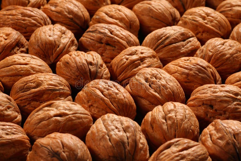 Nuez foto de archivo. Imagen de nuez, fresco, madurez - 17513130