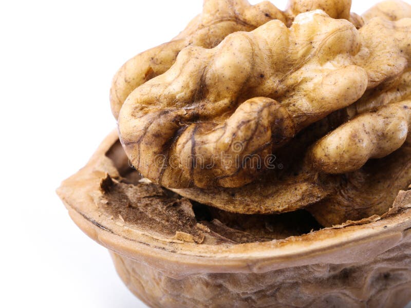 Nuez aislada en blanco foto de archivo. Imagen de fruta - 64954652