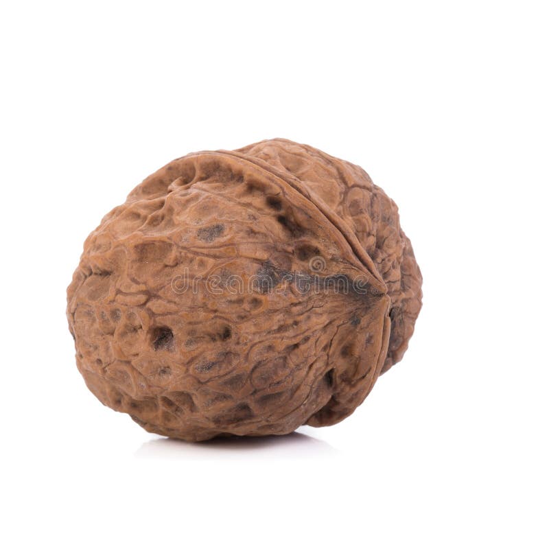 Nuez Aislada En El Fondo Blanco Foto de archivo - Imagen de macro ...