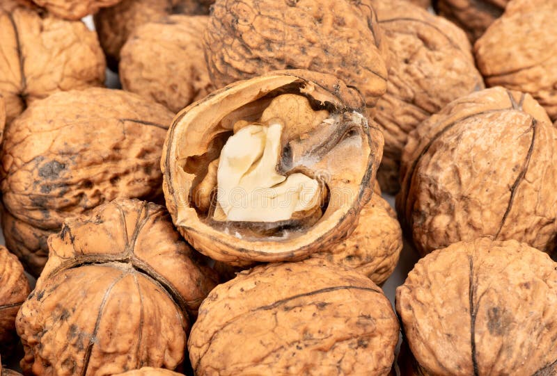 Nuez con mitad imagen de archivo. Imagen de fresco, cierre - 132961351