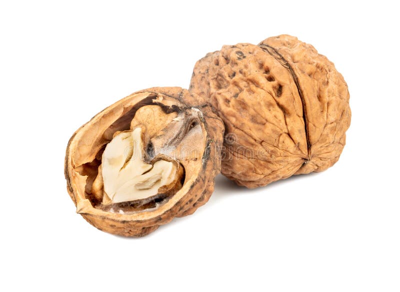 Nuez con mitad imagen de archivo. Imagen de truncamiento - 132961399