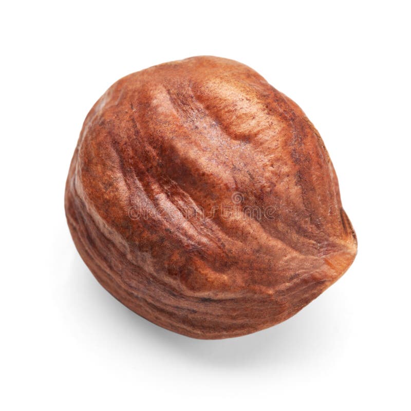 Nuez De La Semilla En Un Fondo Blanco Foto de archivo - Imagen de ...