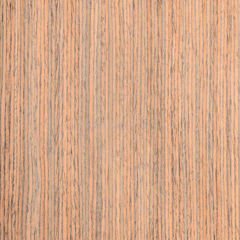 Nuez De La Textura, Chapa De Madera Imagen de archivo - Imagen de ...