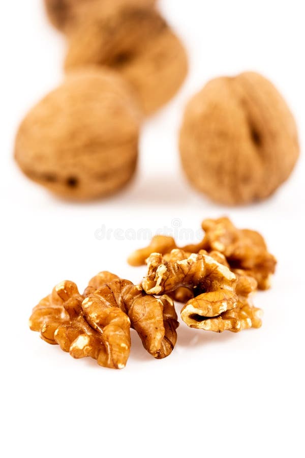 Nuez en blanco imagen de archivo. Imagen de aislante - 109169609
