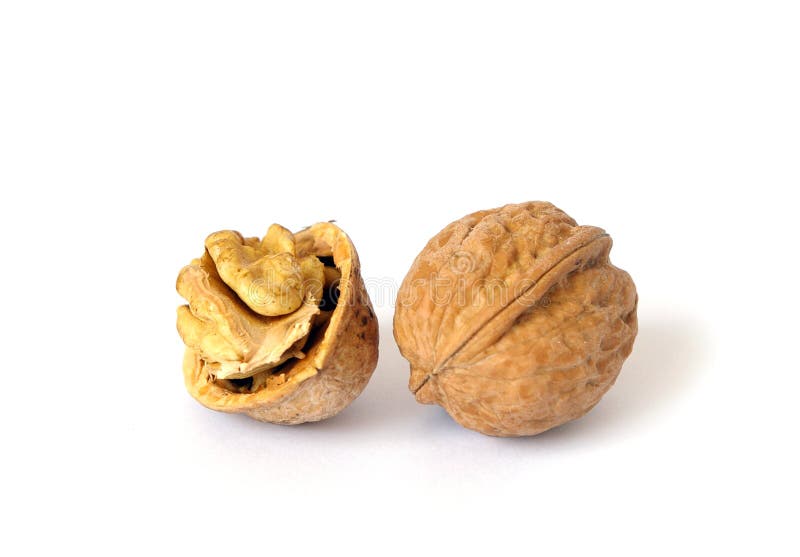 Nuez en blanco imagen de archivo. Imagen de estacional - 7006515