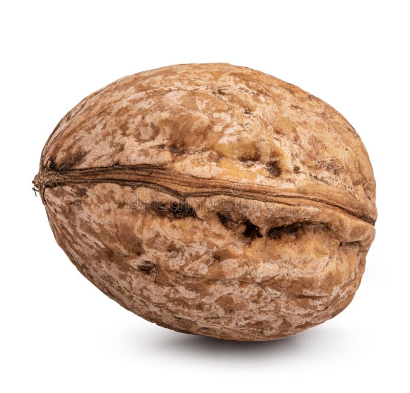 Nuez en el fondo blanco foto de archivo. Imagen de nuez - 132618794