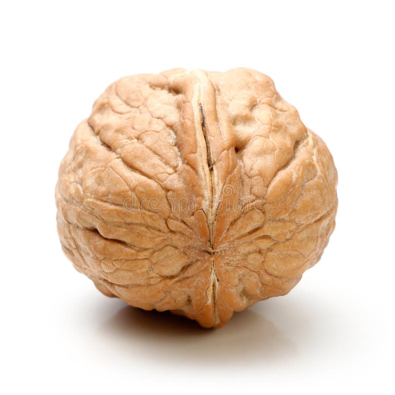 Nuez entera aislada foto de archivo. Imagen de insignificante - 83552554