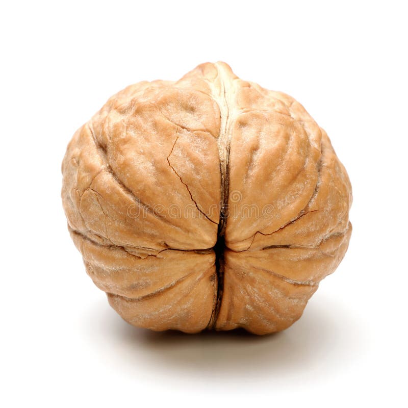 Nuez entera aislada imagen de archivo. Imagen de verde - 83552797