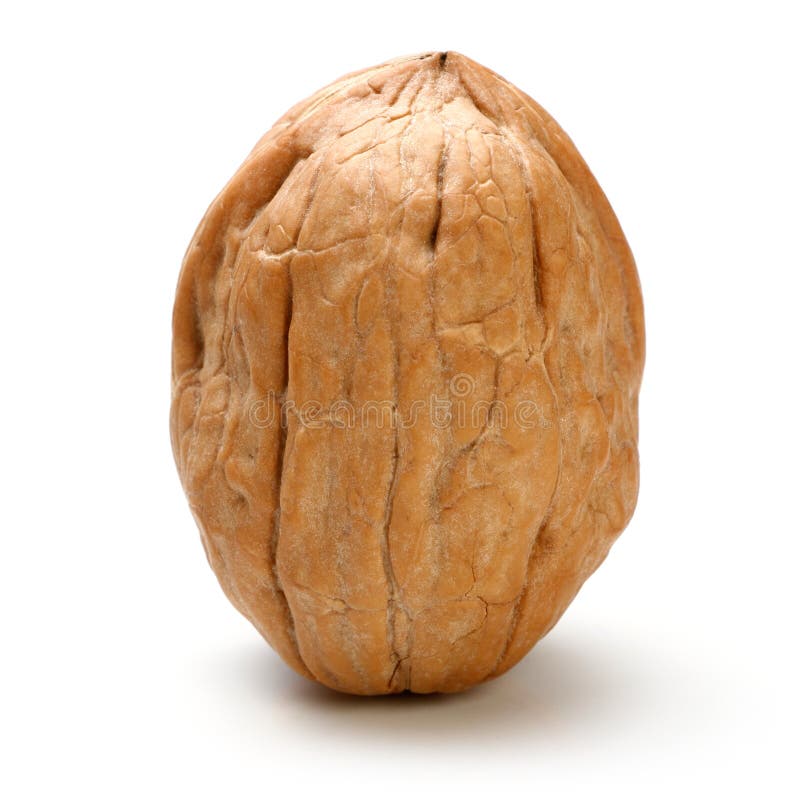 Nuez Entera Y Medio Pedazo De La Nuez Foto de archivo - Imagen de fondo ...