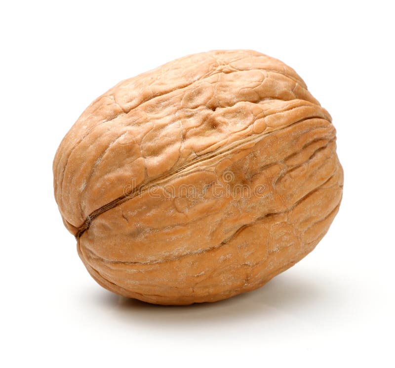 Nuez Entera Y Medio Pedazo De La Nuez Foto de archivo - Imagen de fondo ...