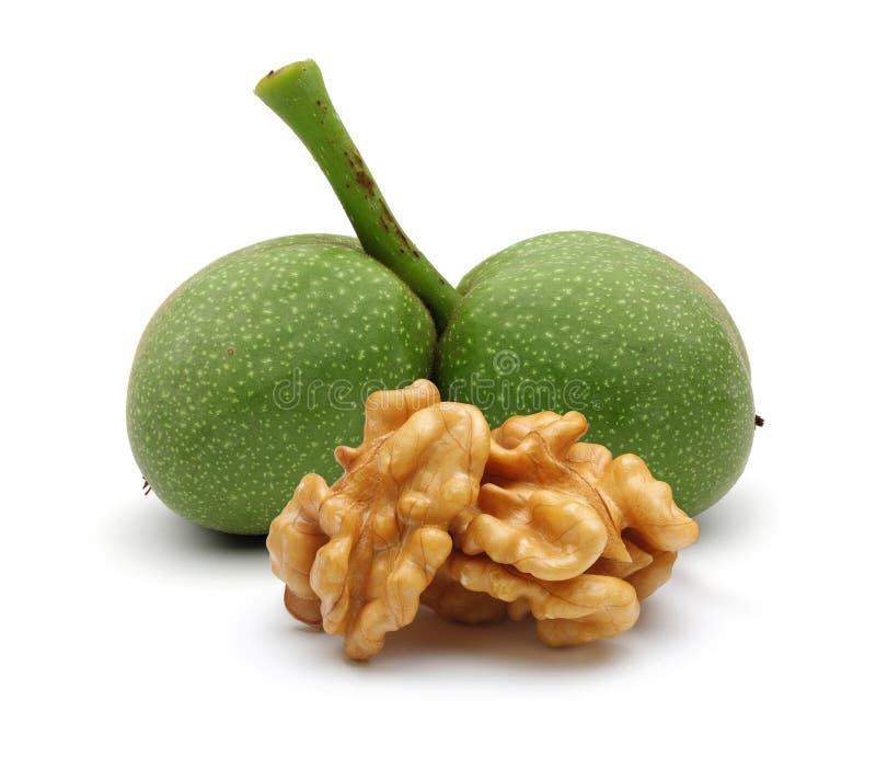 Nuez verde y nuez pelada foto de archivo. Imagen de ocio - 138277926