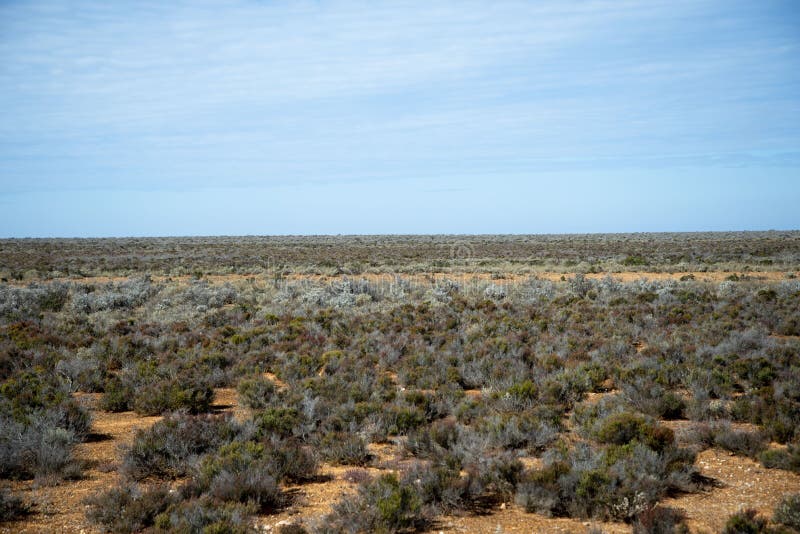 Nullarbor Plain stock photo. Image of landscape, plain - 255660678