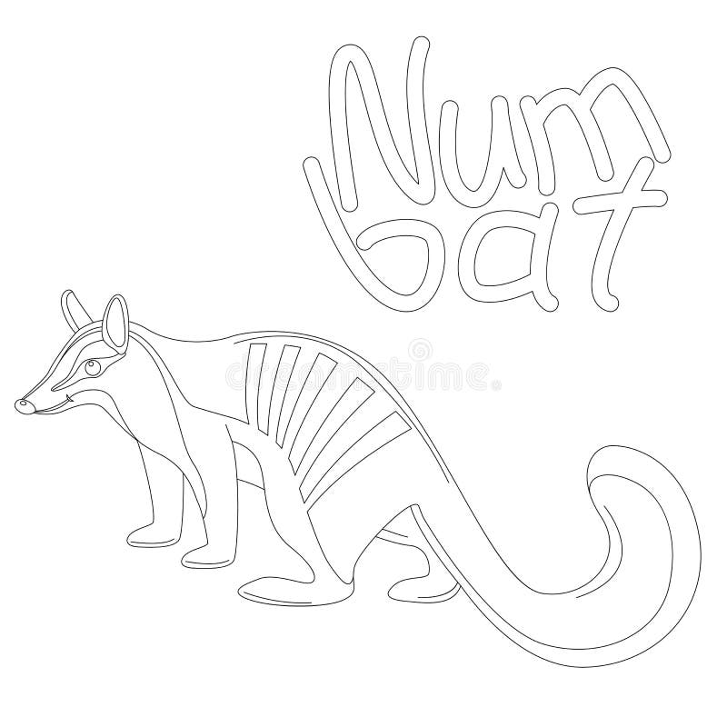 Numbat , Vector Illustration,lining Draw, Profile Stock Vector ...