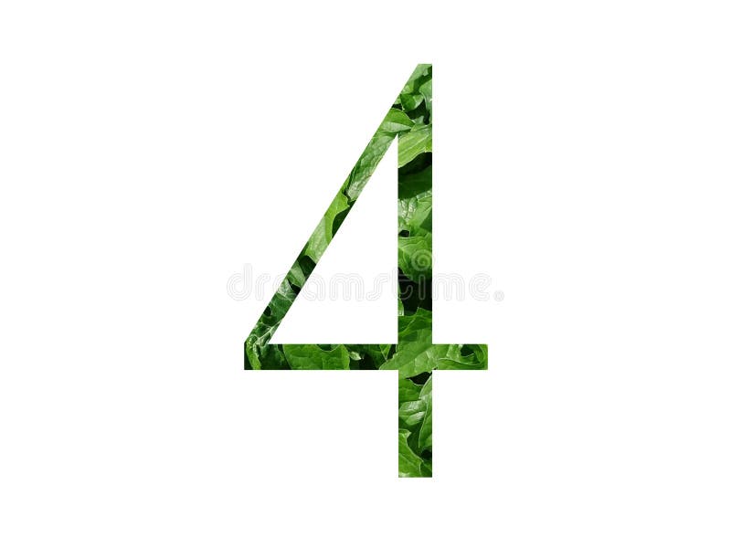 Number 4 of the Alphabet Made with Fresh Green Leaf Stock Illustration ...