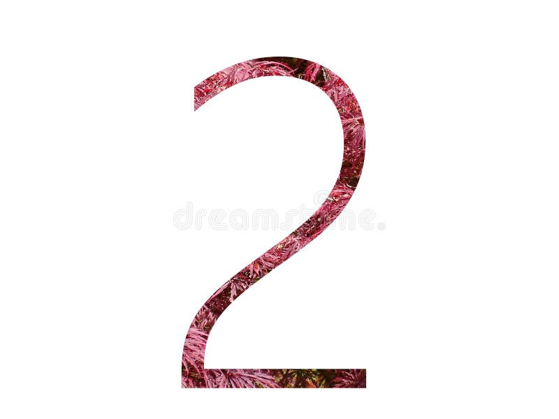 Number 2 of the Alphabet Made with Red Leaves of a Tree Stock Photo ...