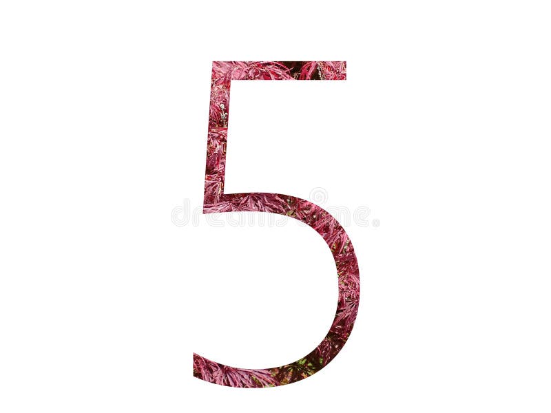 Number 5 of the Alphabet Made with Red Leaves of a Tree Stock Image ...