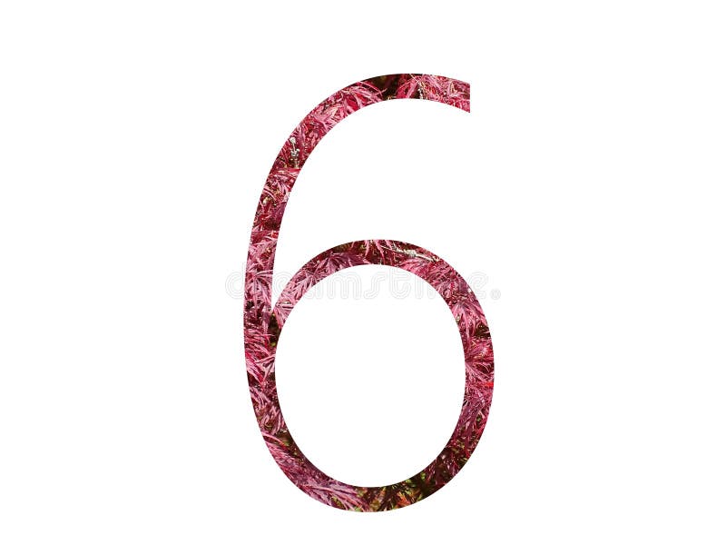 Number 6 of the Alphabet Made with Red Leaves of a Tree Stock Photo ...