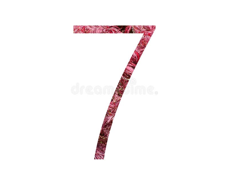 Number 7 of the Alphabet Made with Red Leaves of a Tree Stock Photo ...