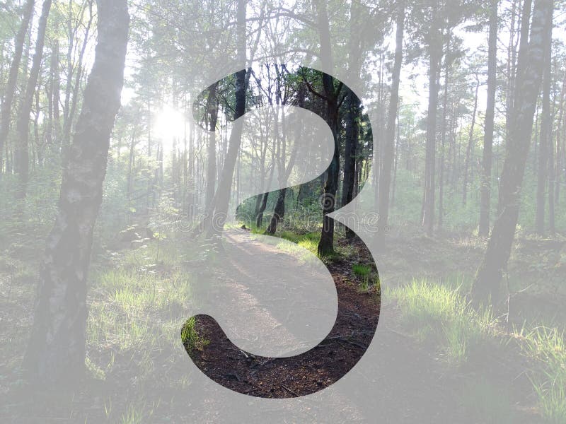 Number 3 of the Alphabet Made with Sunlight in the Forest Stock ...