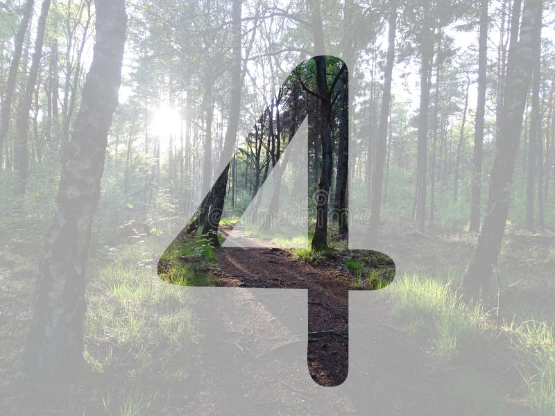Number 4 Transparent Background Stock Photos - Free & Royalty-Free ...