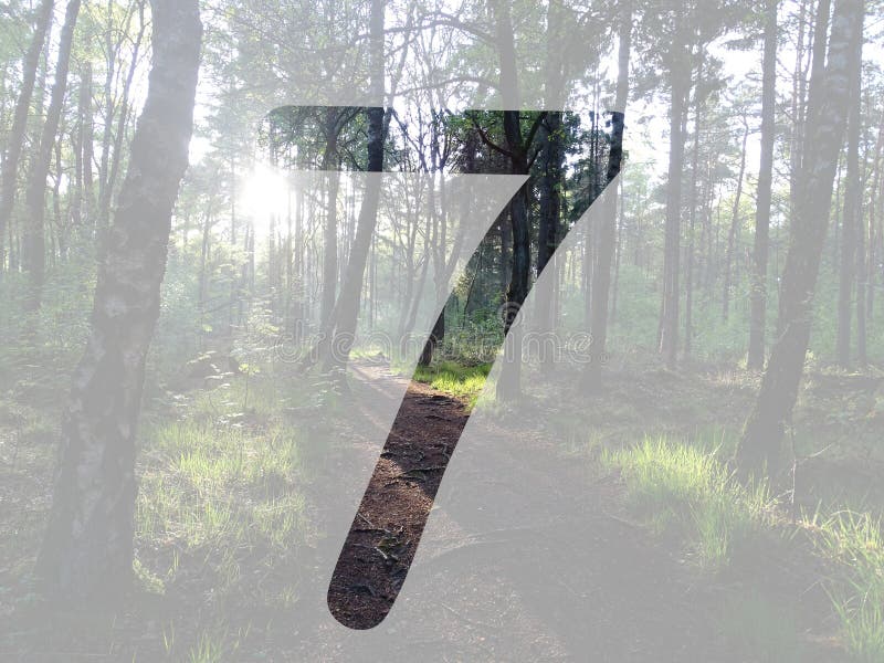 Number 7 of the Alphabet Made with Sunlight in the Forest Stock ...