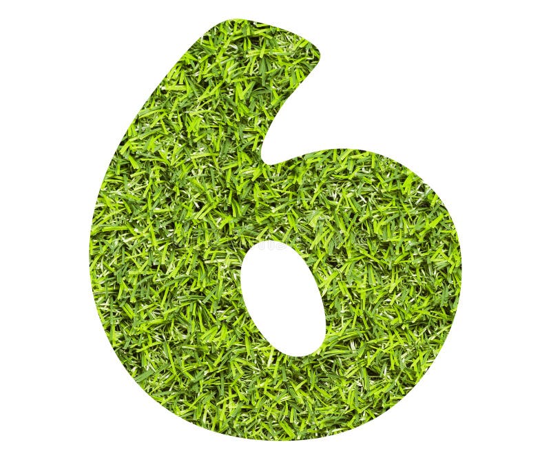 Artificial Turf Garden Stock Illustrations – 657 Artificial Turf Garden ...