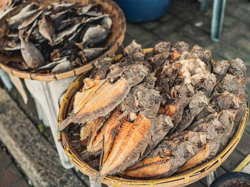 A Number of Bowls with Fish in Them on the Ground Stock Photo - Image ...