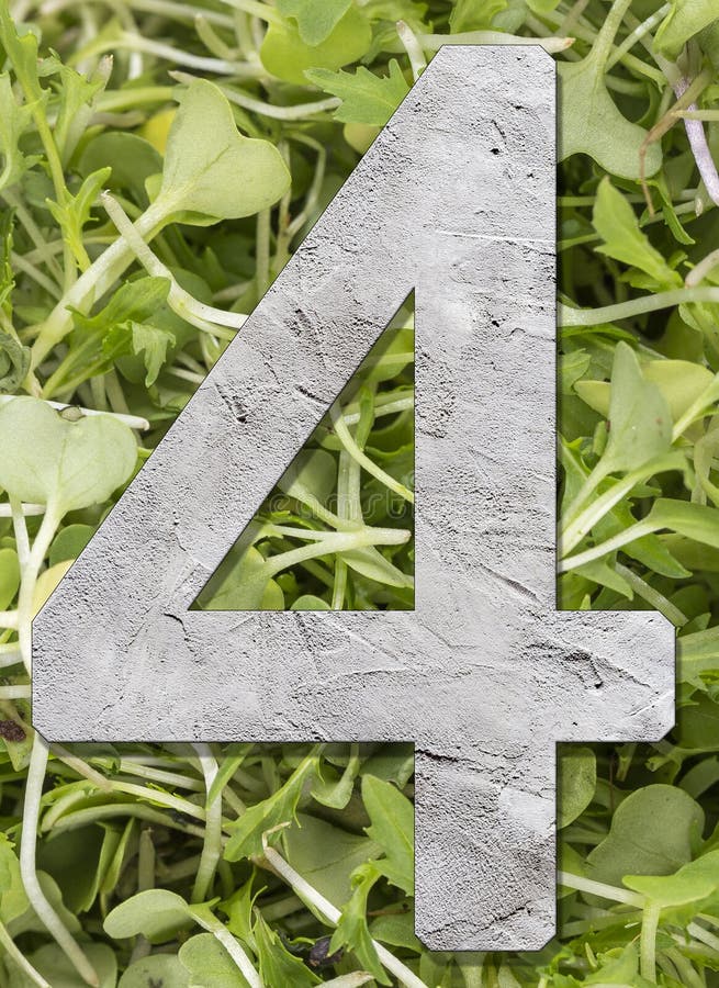 Number 4 with Concrete Texture, on Nature Background Stock Image ...