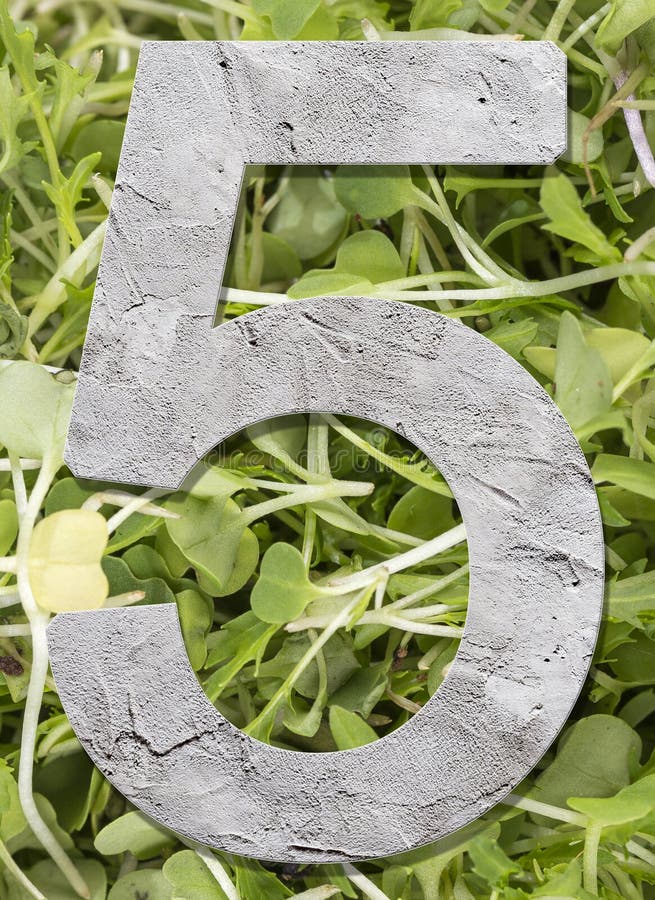Number 5 with Concrete Texture, on Nature Background Stock Image ...