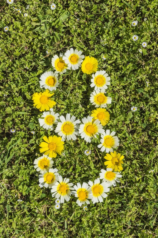 460 10 Number Flower Stock Photos - Free & Royalty-Free Stock Photos ...