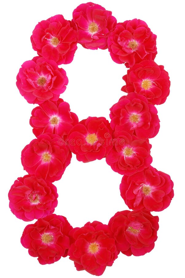 Eight Roses Seen from Above Stock Photo - Image of botany, flower: 2991168