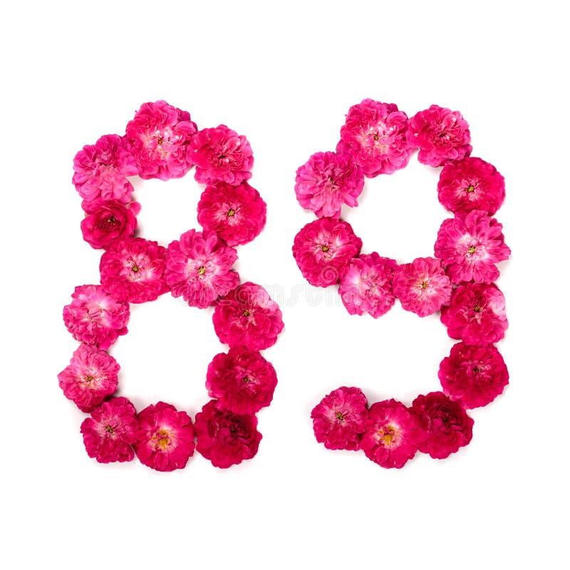 Number 89 from Flowers of a Red and Pink Rose on a White Background ...
