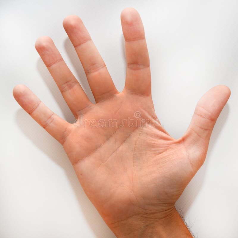 Number Five American Sign Language Asl Stock Photos - Free & Royalty ...