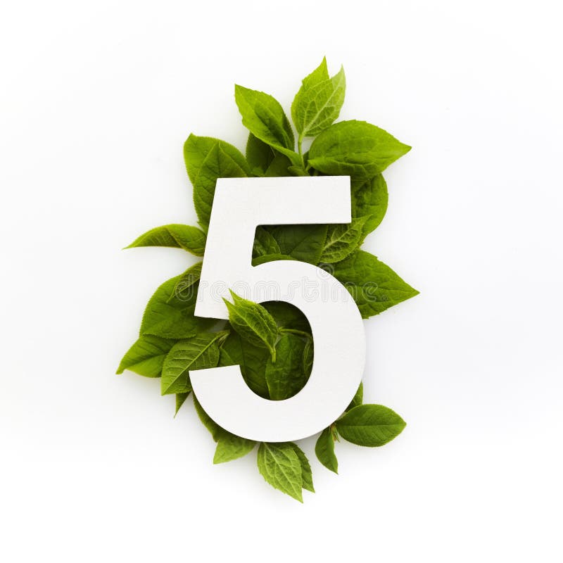 Number Five with Green Leaves. Minimal Summer Concept. Flat Lay. Stock ...