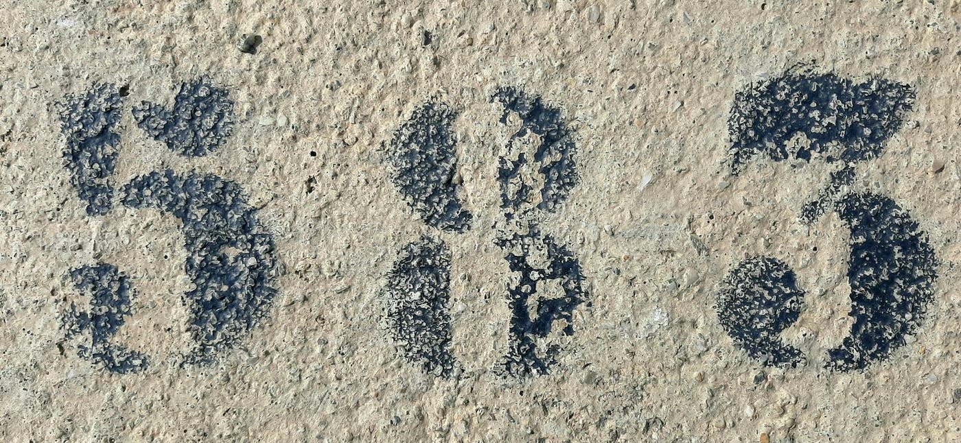 216 Hundred Eighty Stock Photos - Free & Royalty-Free Stock Photos from Dreamstime