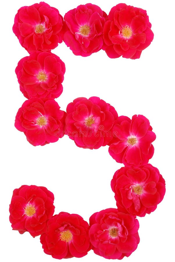 Number Five Laid Out Roses Stock Photos - Free & Royalty-Free Stock ...