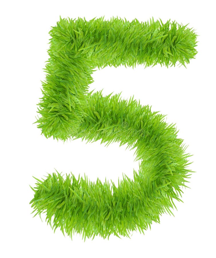 Number Five 5 Made of Green Grass. Stock Photo - Image of pattern ...