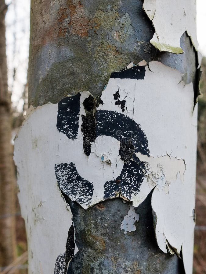 Number 5 stock photo. Image of isolated, seasonal, pattern - 65146796