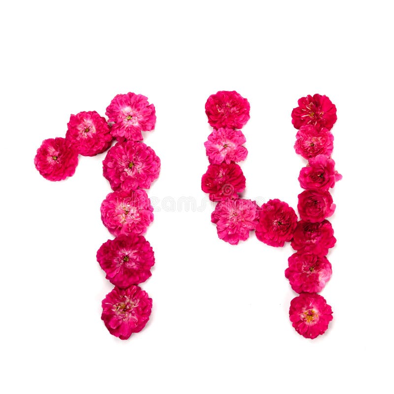 7,868 Plant Number Font Stock Photos - Free & Royalty-Free Stock Photos ...