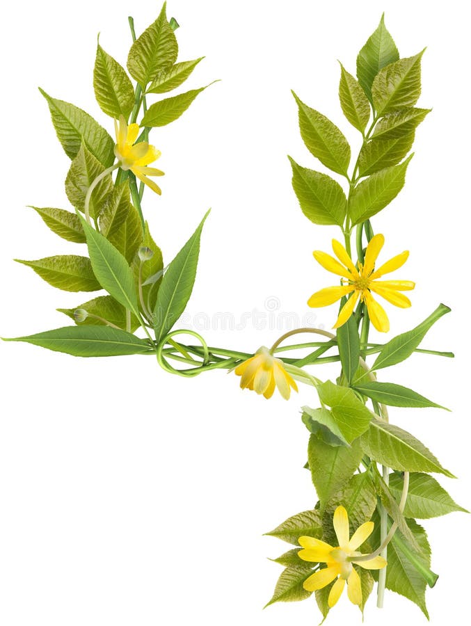 Number Four from Branches, Leaves and Flowers Stock Image - Image of ...