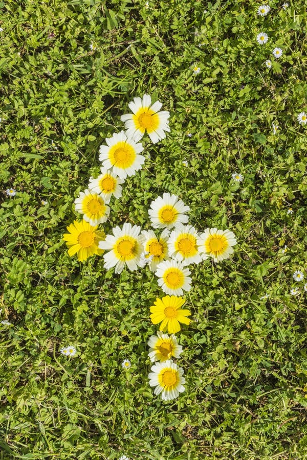 Number Four from Flower Numbers Stock Image - Image of number, creative ...