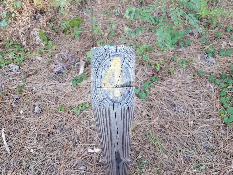 The Number Four on a Wood Post with Pine Needles Stock Image - Image of ...