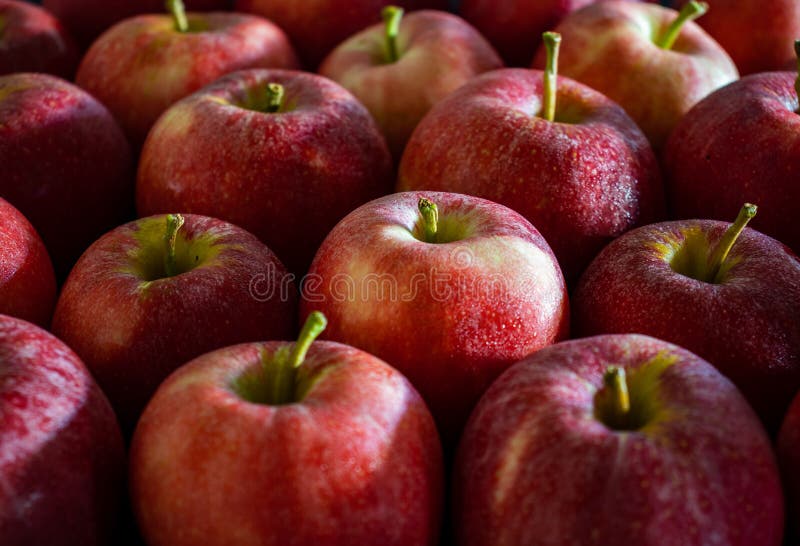 Number of Fresh Red Apples, a Closeup Shot Stock Image - Image of ...