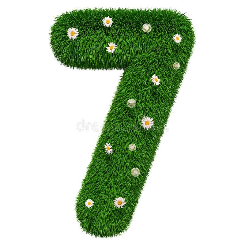 Number 7 Green Grass Flowers Stock Illustrations – 21 Number 7 Green ...