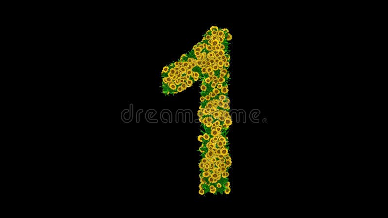 Number 1 with Green Leaves and Yellow Daisy Flowers on Plain Black ...