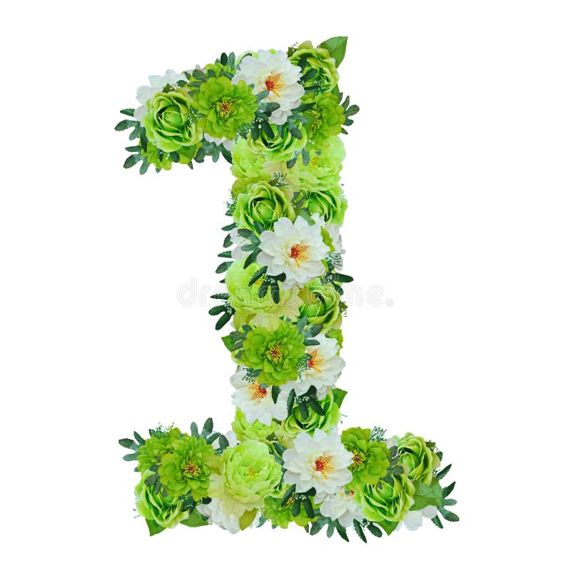 One Color Chrysanthemum Flowers Stock Vector - Illustration of ...